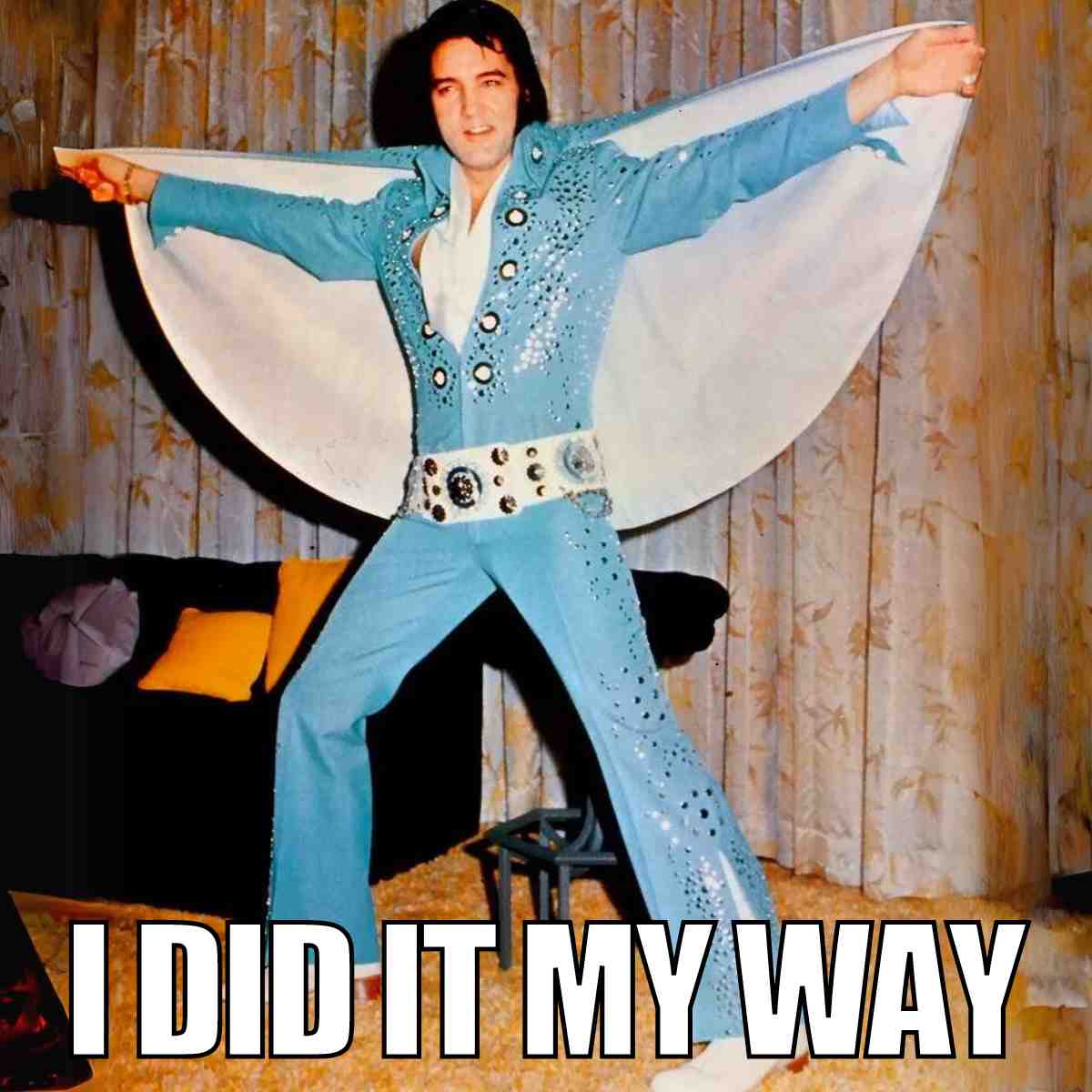 20 Amazing Elvis Memes That Will Have You All Shook Up