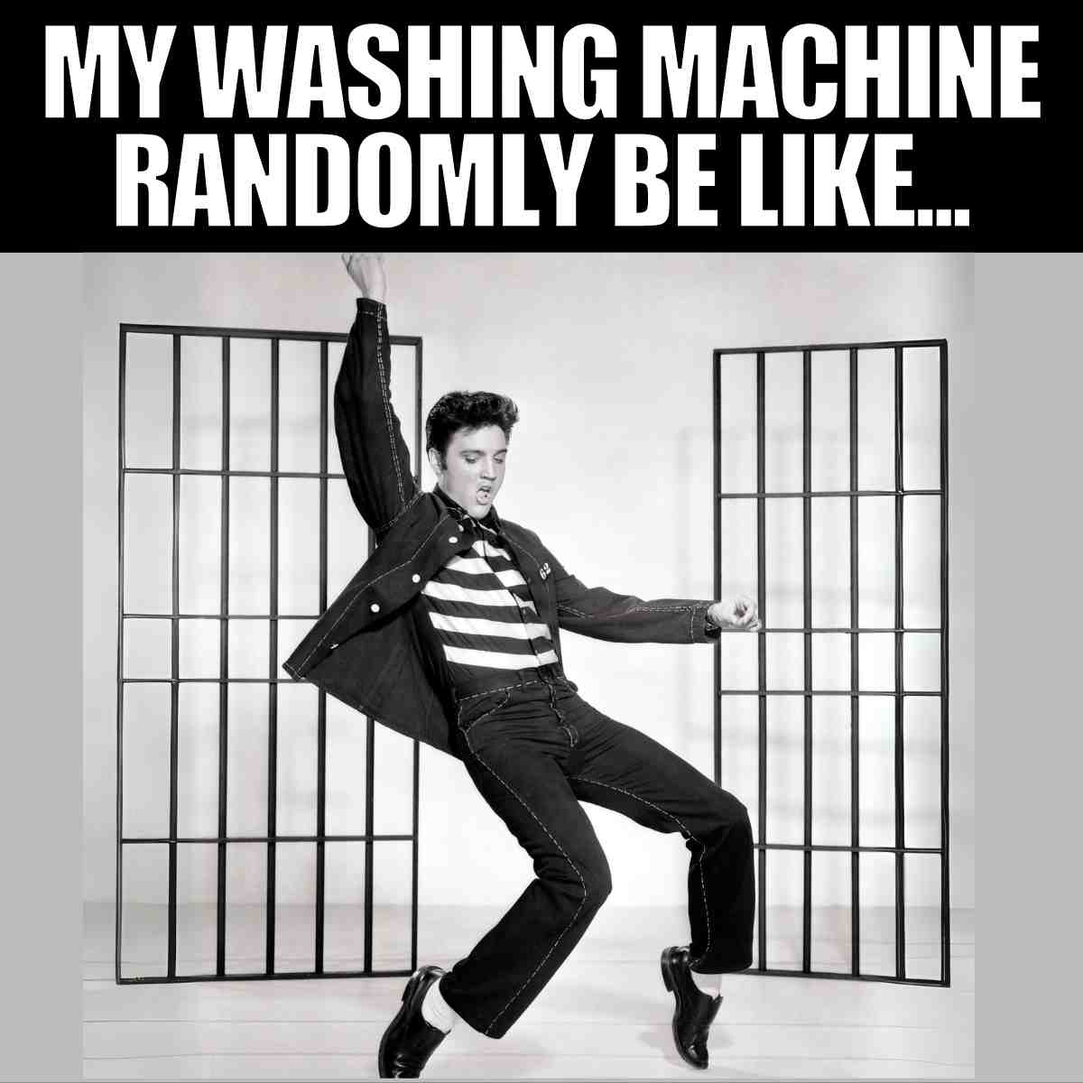 20 Amazing Elvis Memes That Will Have You All Shook Up