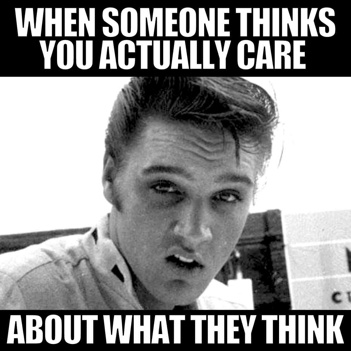 20 Amazing Elvis Memes That Will Have You All Shook Up