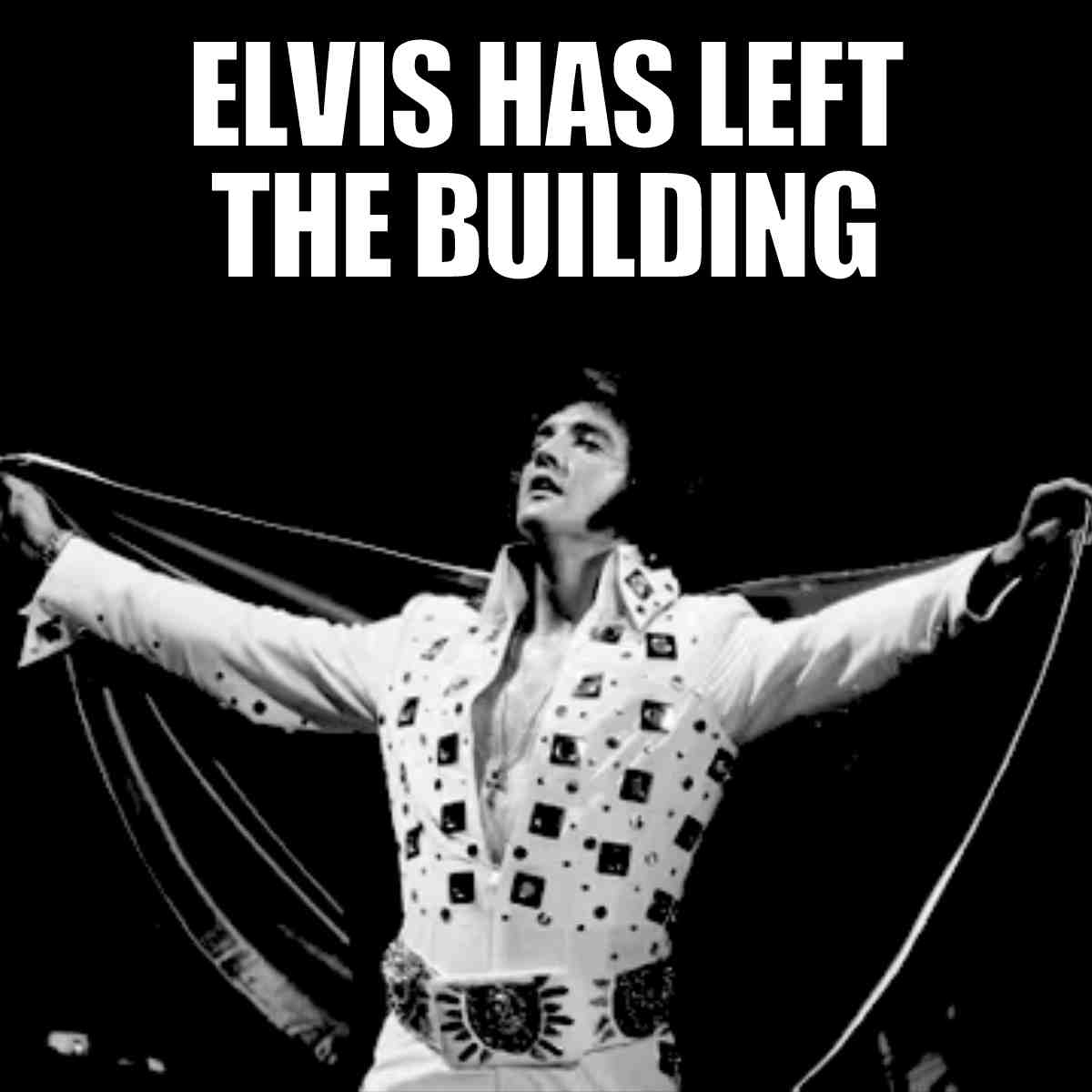 20 Amazing Elvis Memes That Will Have You All Shook Up