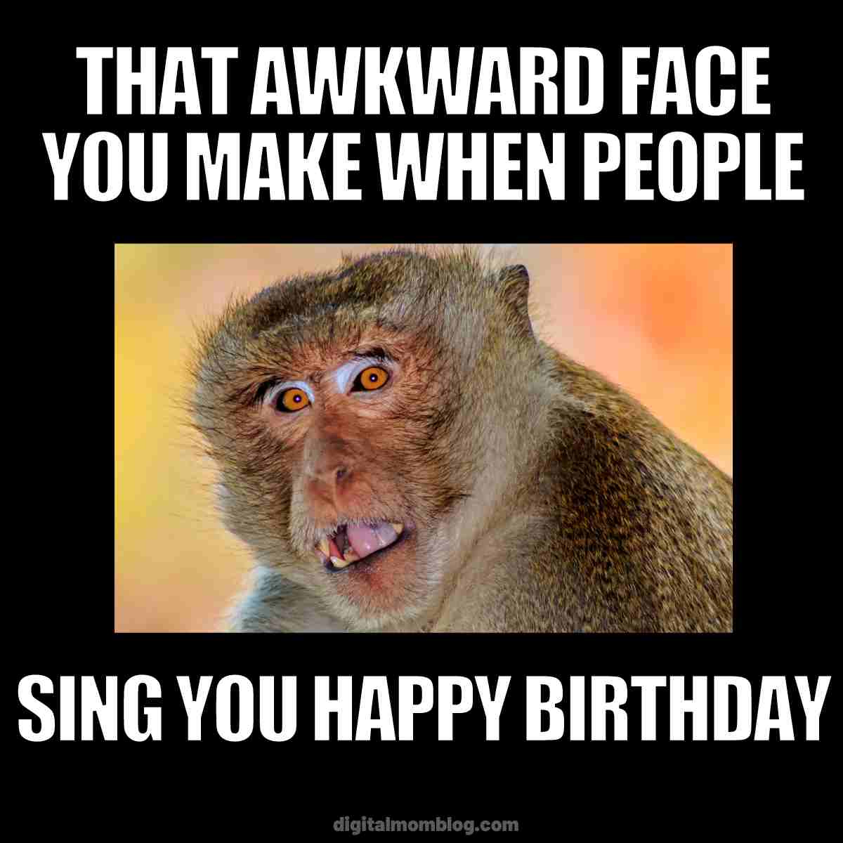 101 Funny Happy Birthday Memes For Celebrating Another Year