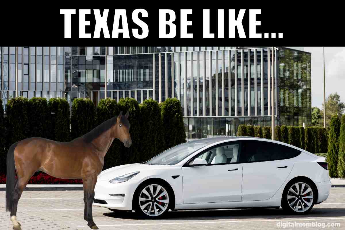 50 Hilarious Texas Memes That Will Make You Say Yee-Haw