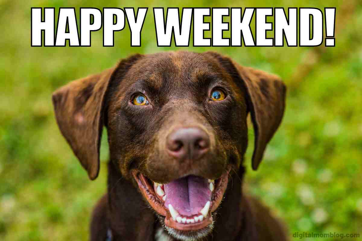 25 Weekend Memes That Will Make You Forget About Monday