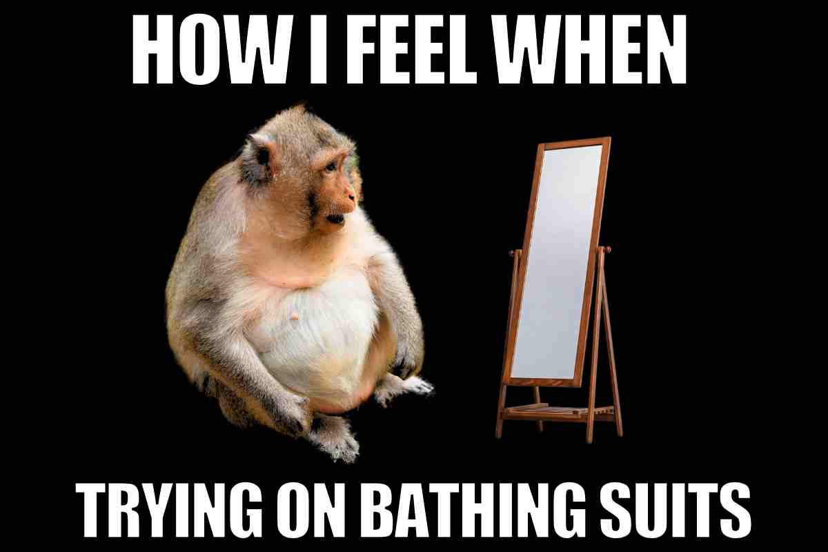 Summer Body Memes - 20+ Funny Images About Hot Bod Goals