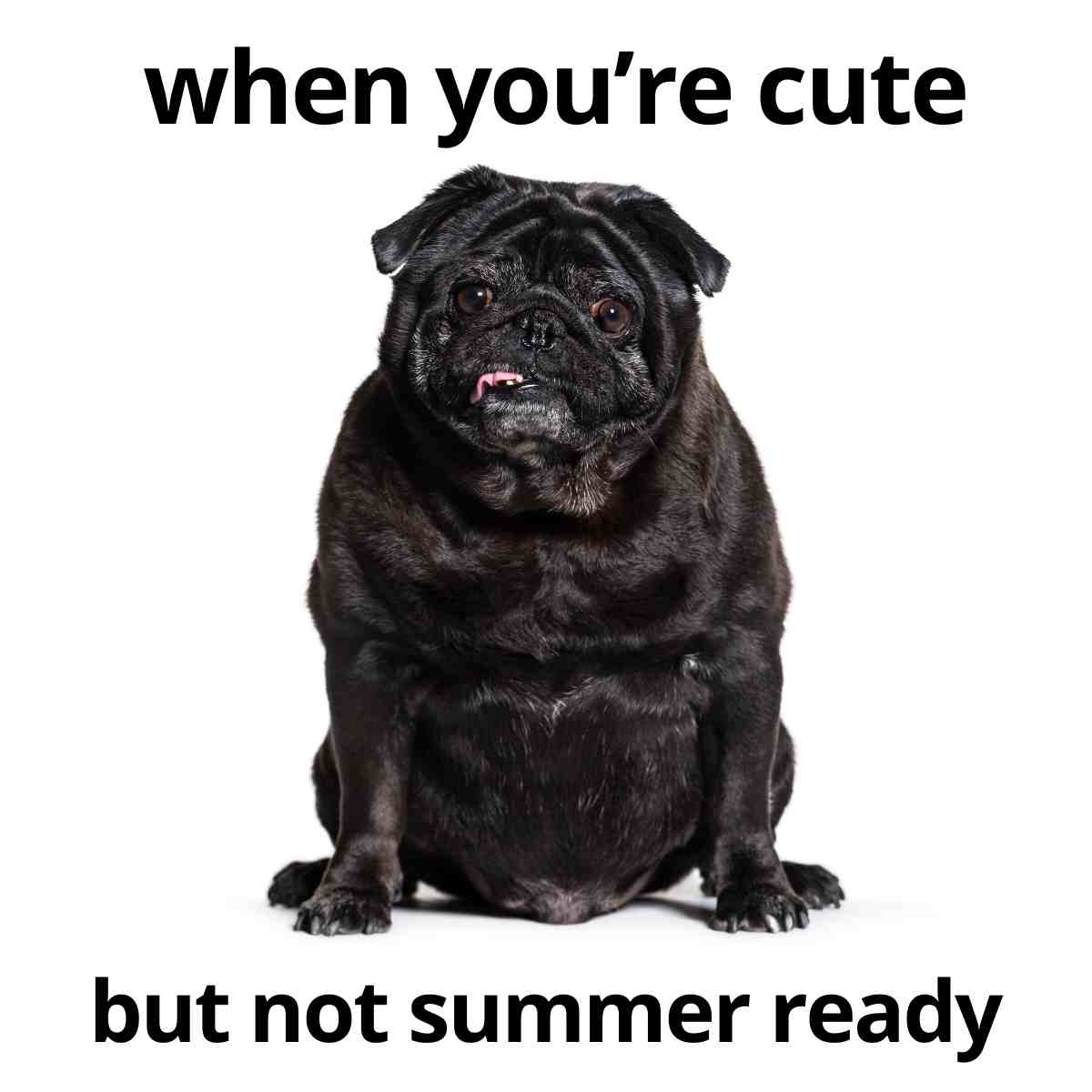 Summer Body Memes - 20+ Funny Images About Hot Bod Goals