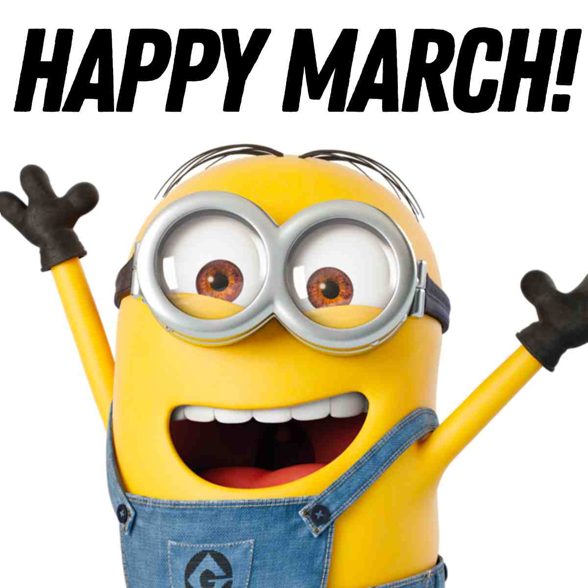 Funny March Memes: Spring Into Humor!