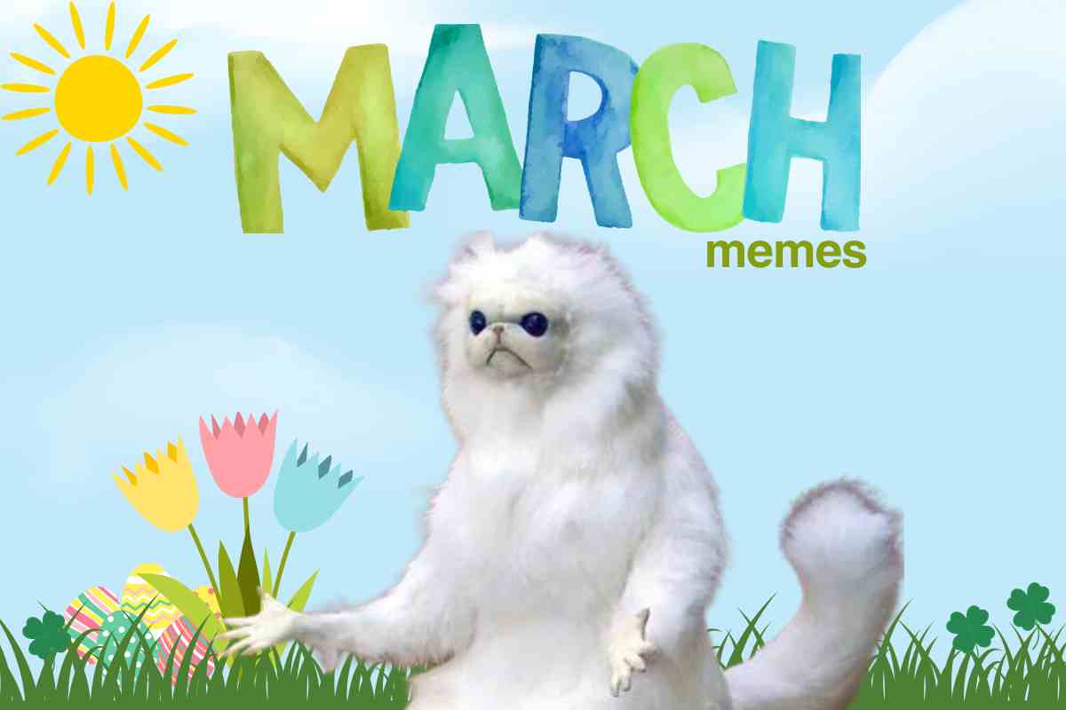 Funny March Memes: Spring Into Humor!
