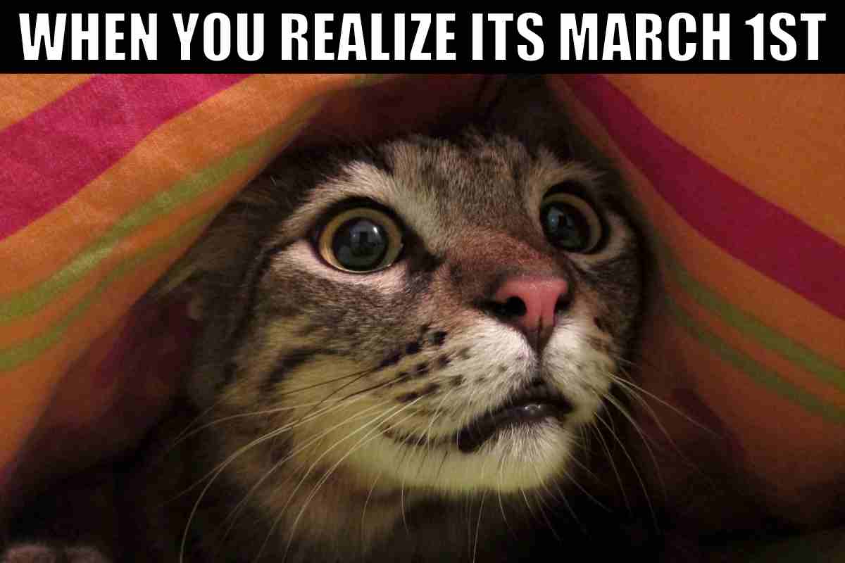 Funny March Memes: Spring Into Humor!