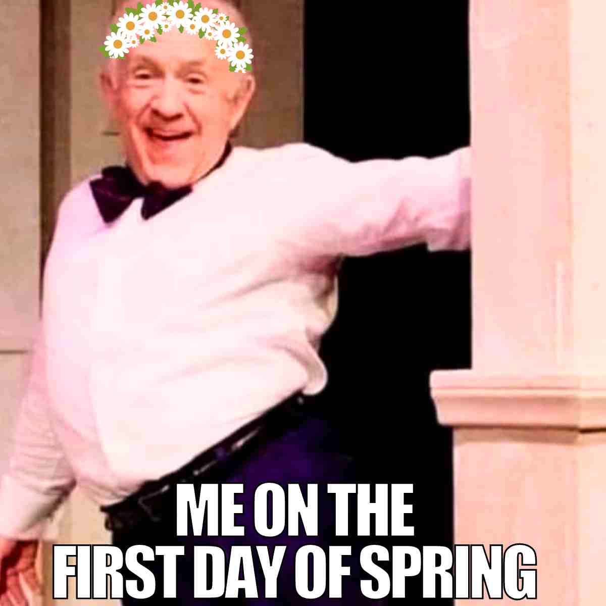 Funny March Memes: Spring Into Humor!