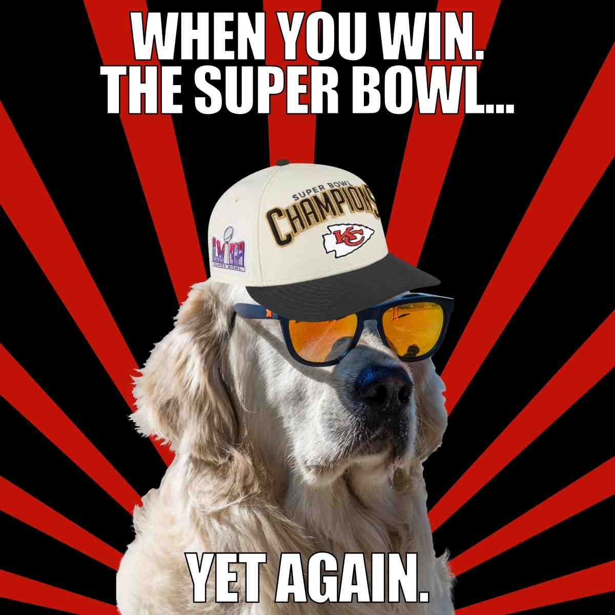 The Funniest Monday After Super Bowl Memes: 2024 Edition