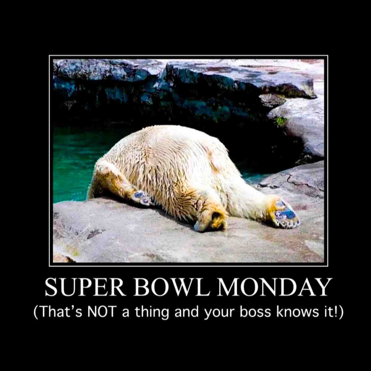 The Funniest Monday After Super Bowl Memes: 2024 Edition