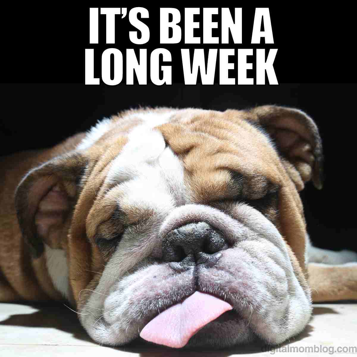 75 Funny Friday Memes That Will Have You Saying TGIF!