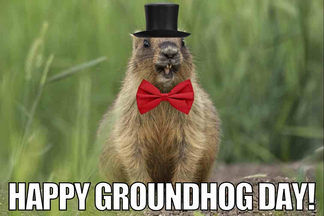 From Shadow To Sunshine: Hilarious Groundhog Day 2024 Memes