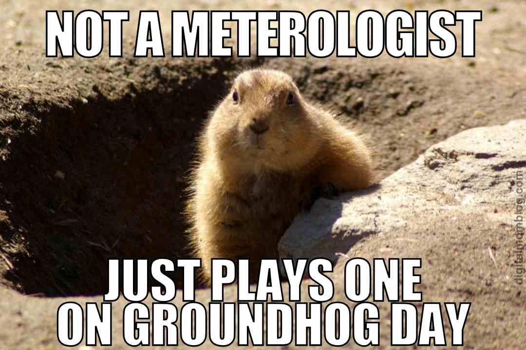 From Shadow To Sunshine: Hilarious Groundhog Day 2024 Memes