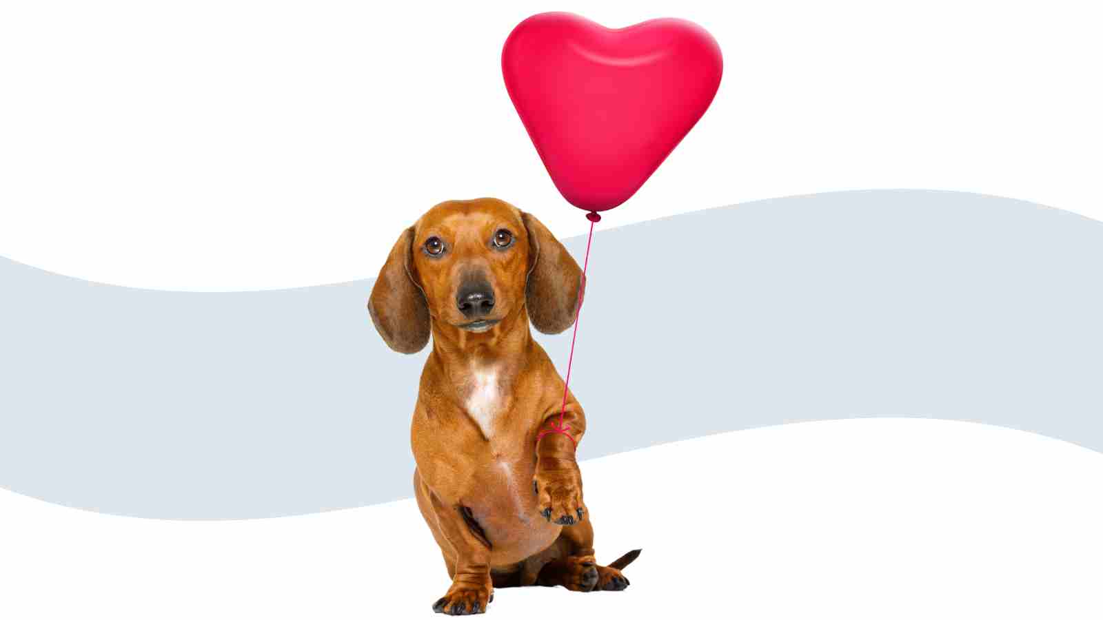 February Memes: Hilarious Images To Start The Month