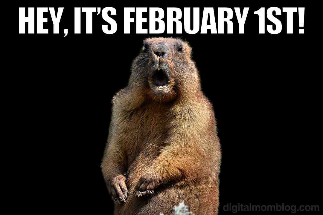 February Memes: Hilarious Images To Start The Month