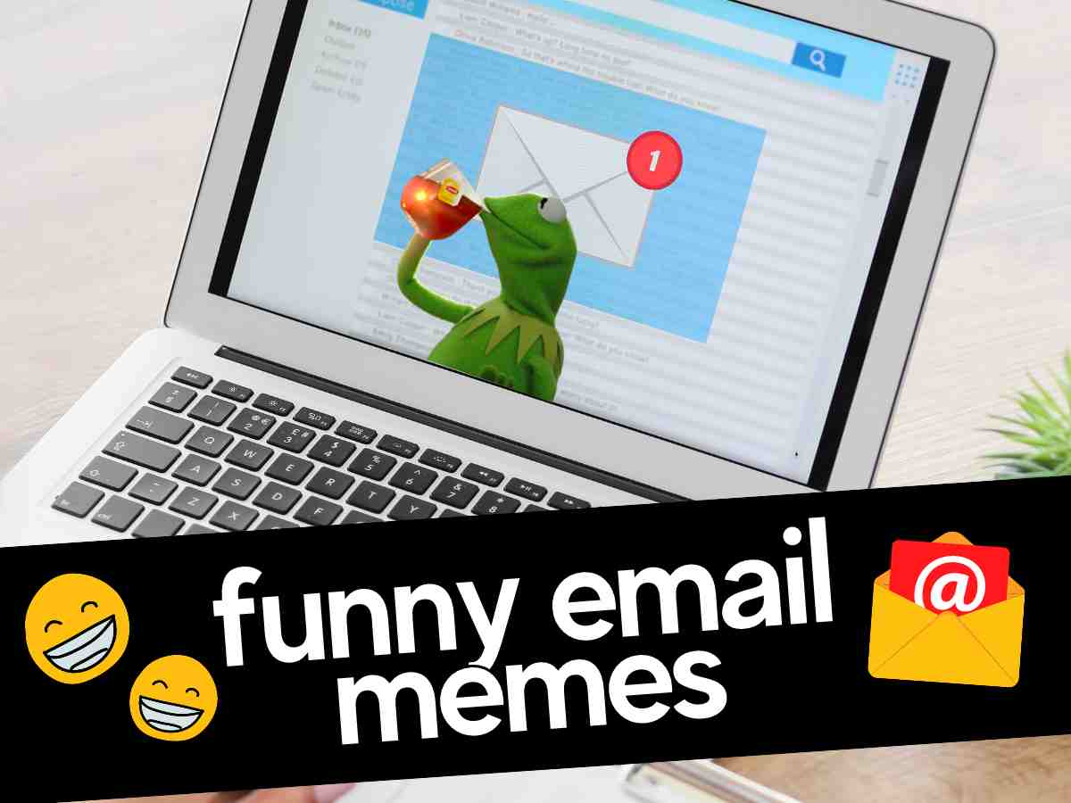 40 Hilarious Email Memes That Capture The Inbox Struggle
