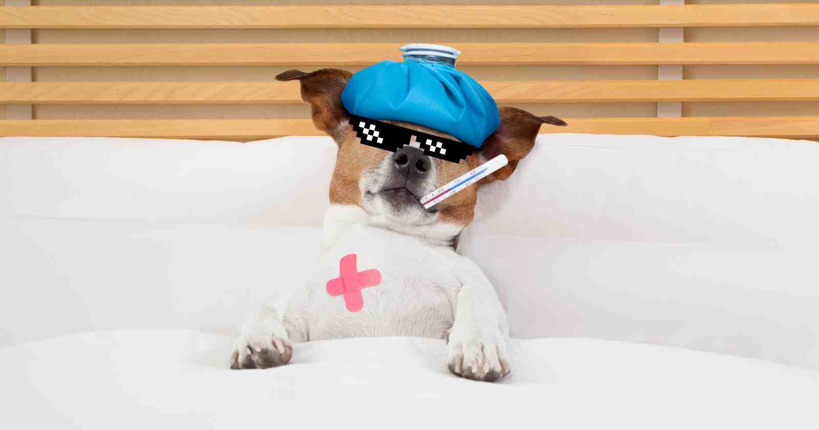 25 Best Sick Memes: A Hilarious Prescription For Laughter!