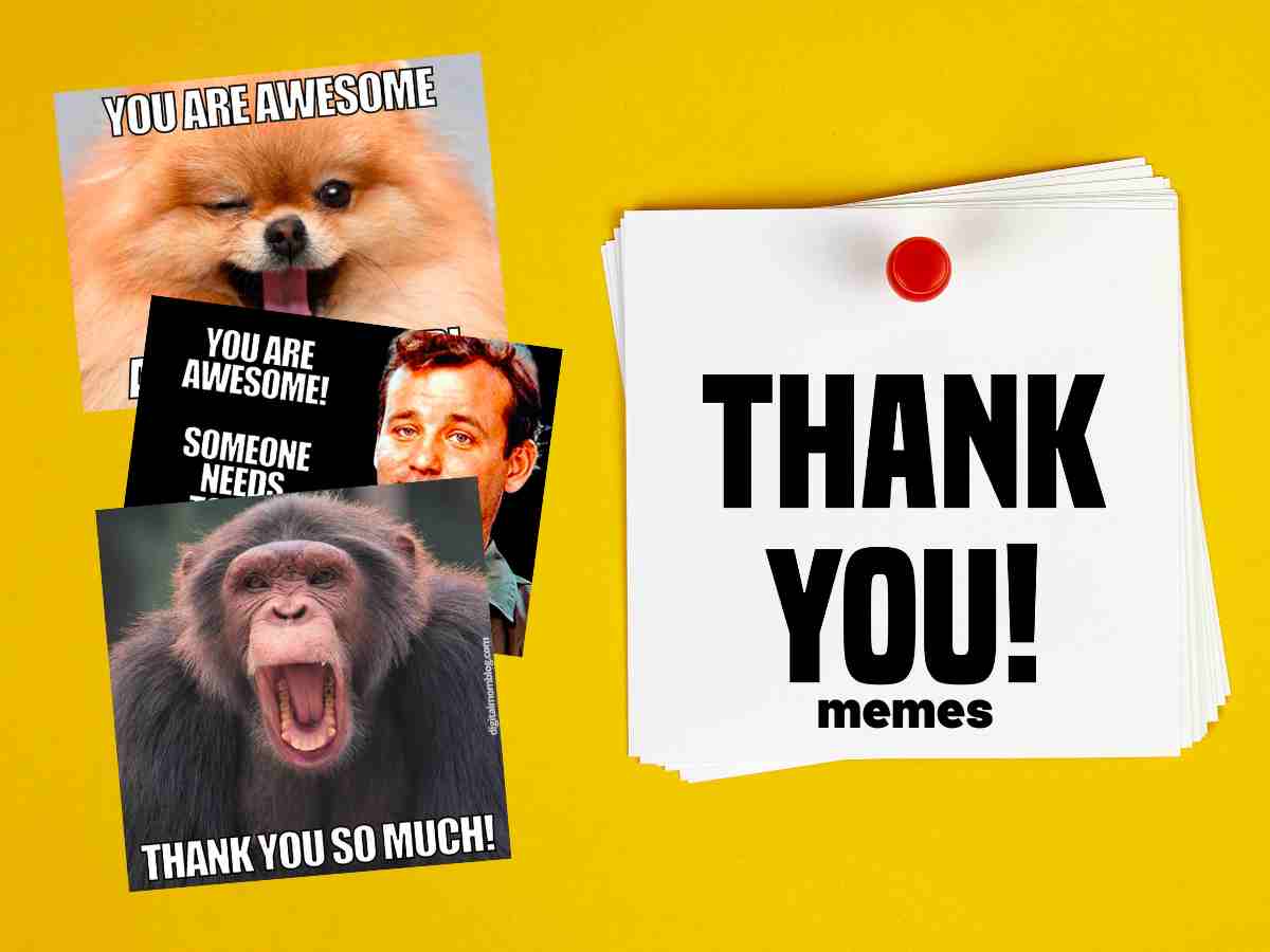 25 Thank You Memes That Speak Louder Than Sending A Card
