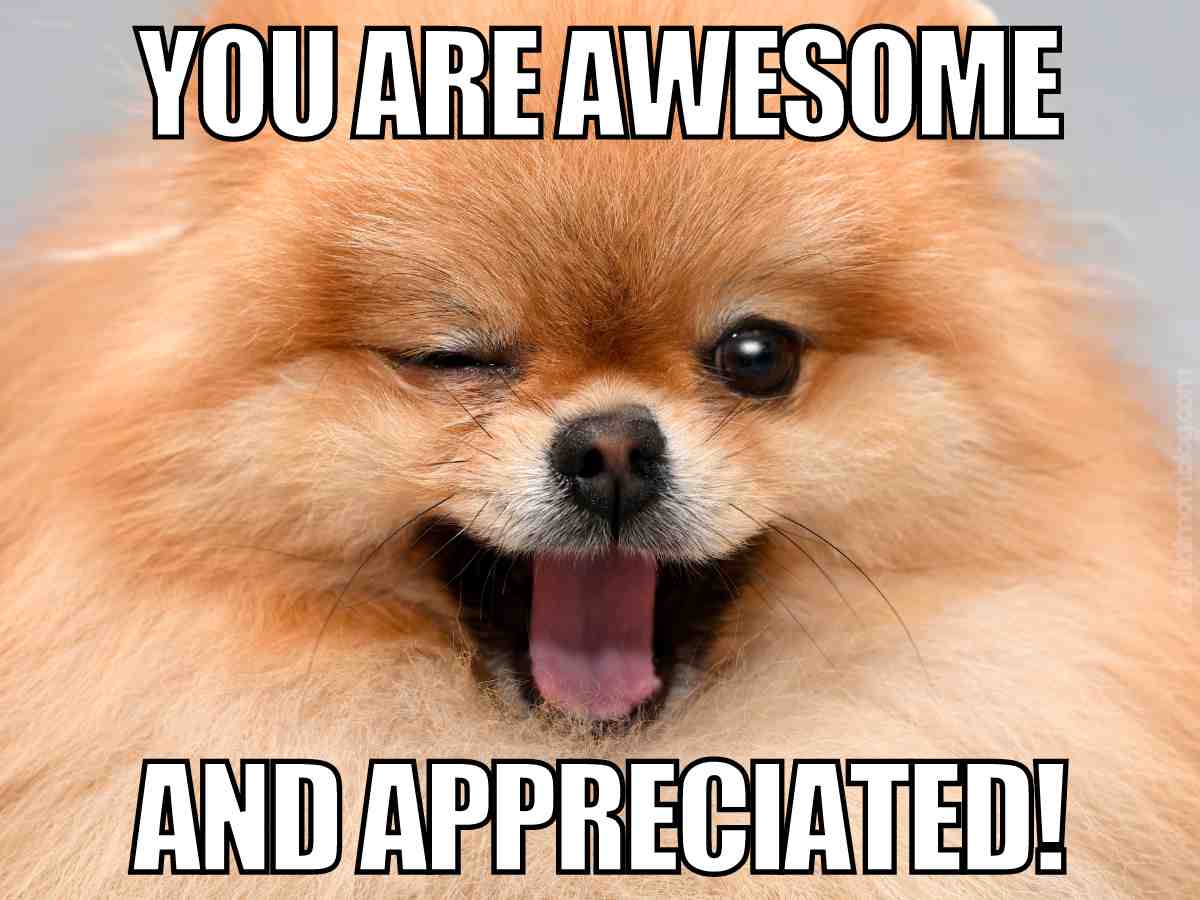 25 Thank You Memes That Speak Louder Than Sending A Card