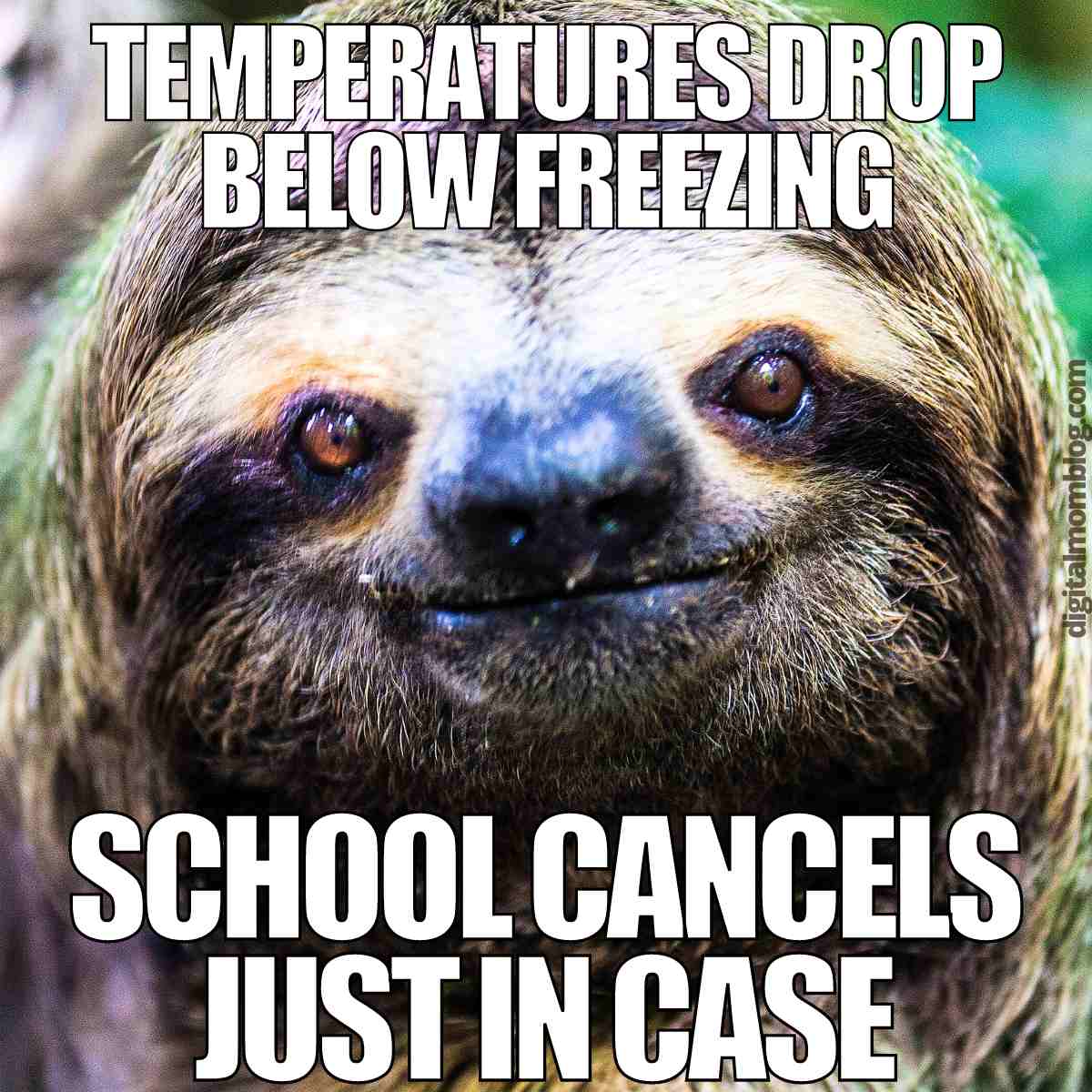 21 Hilarious School Closing Memes For When Theres No School