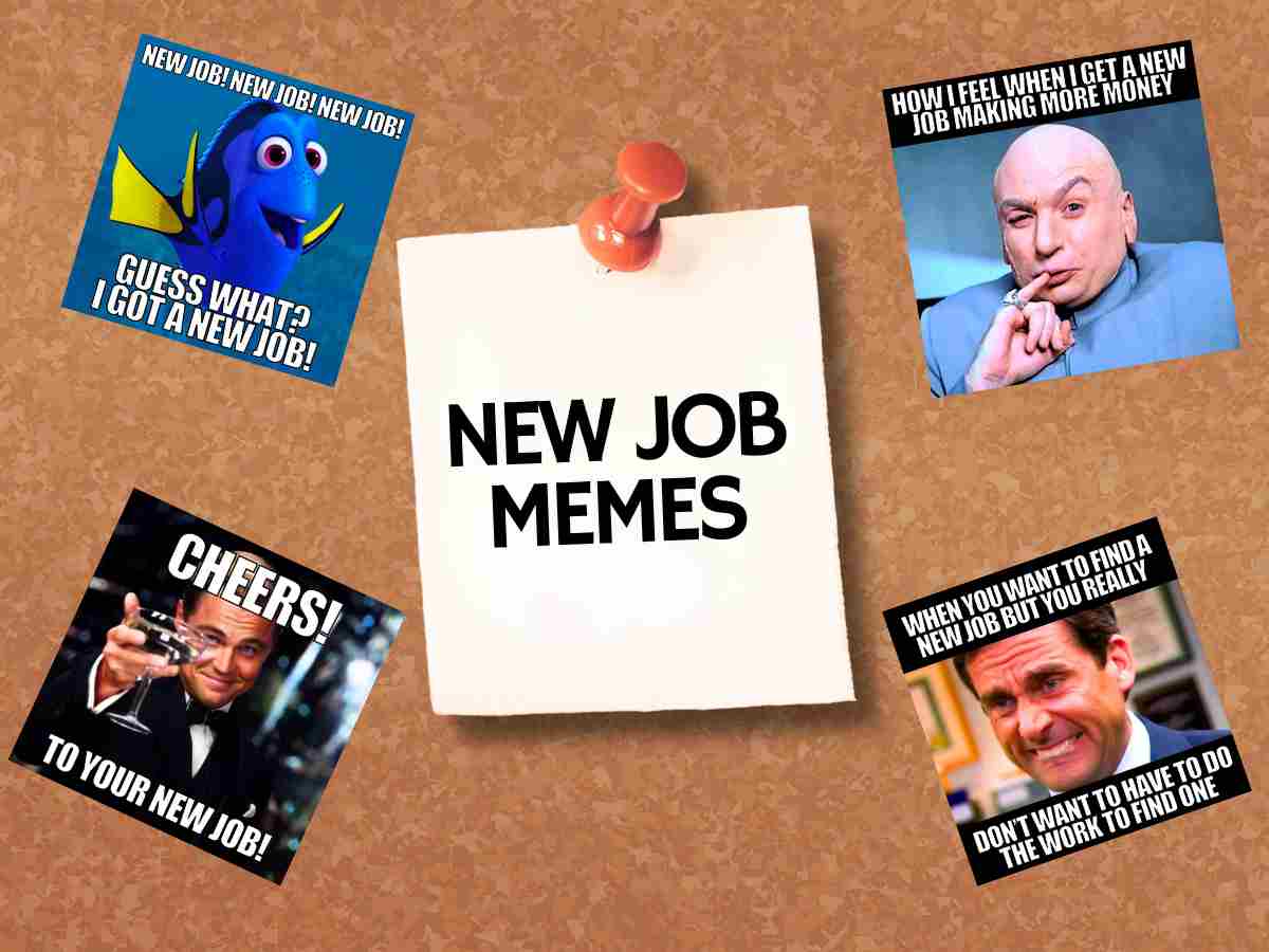 20 Hilarious New Job Memes To Celebrate Your Career Move