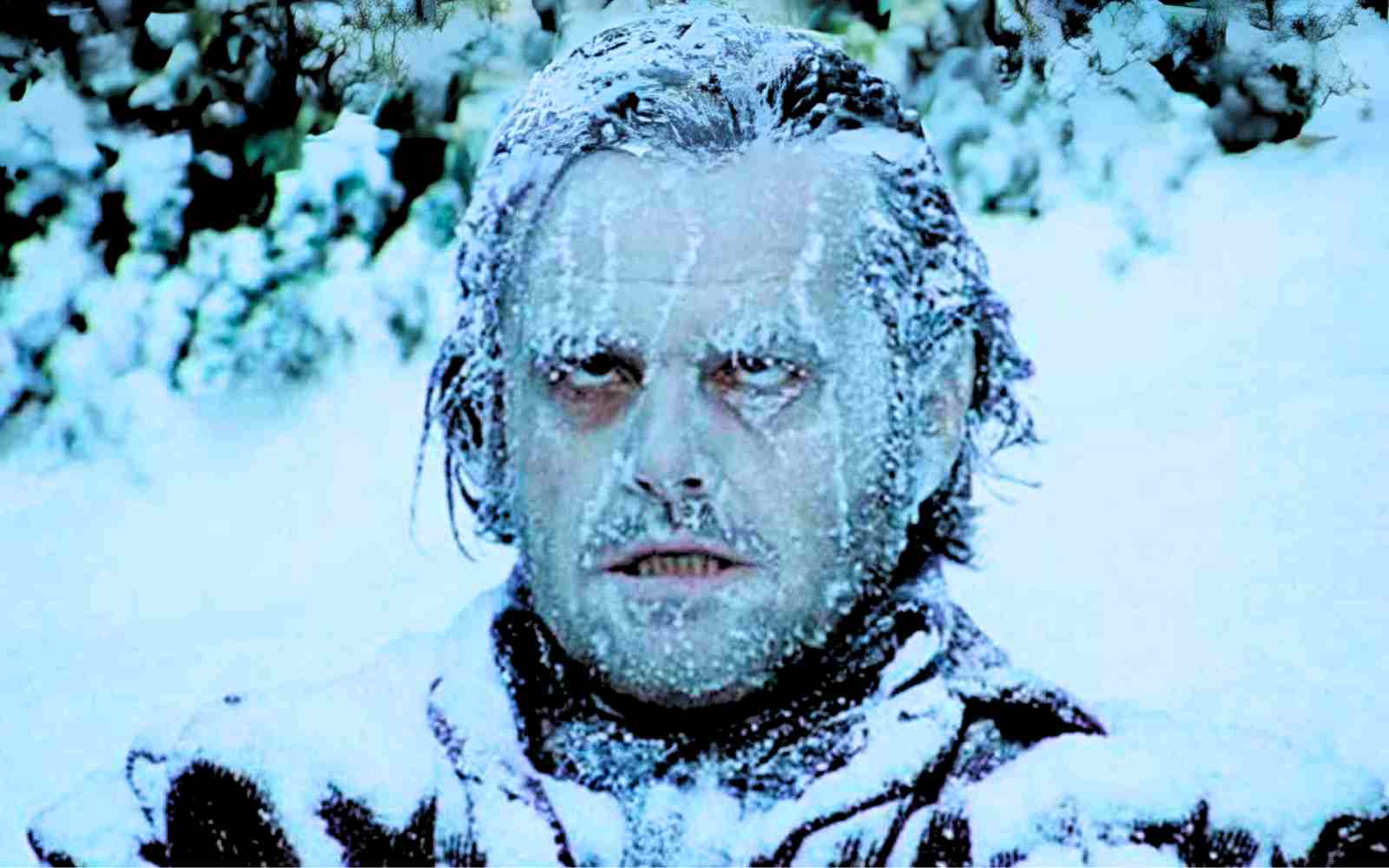 20 Hilarious Cold Weather Memes To Warm Your Heart And Feed