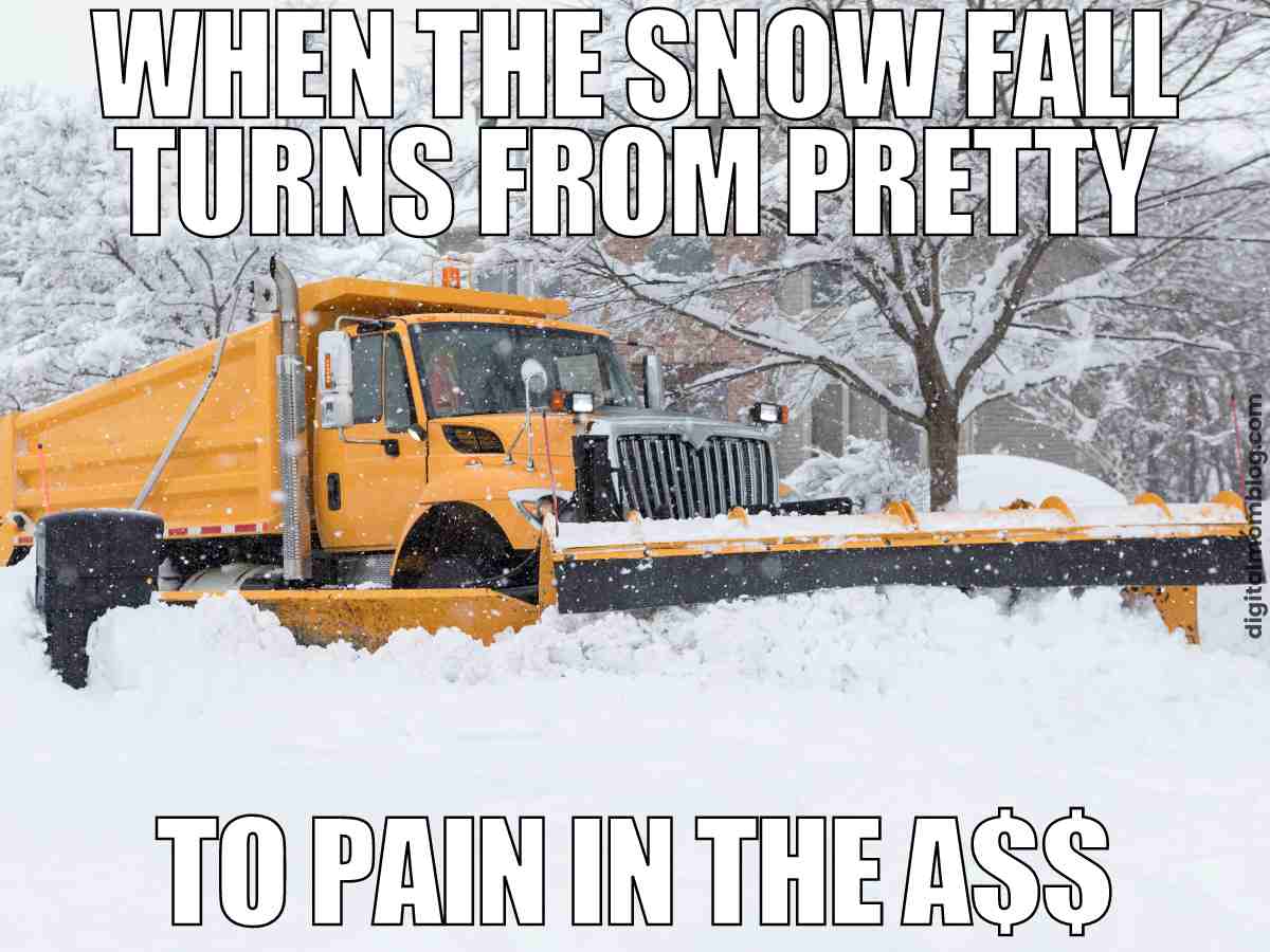 40 Funny Snow Memes That Capture The Frosty Fun