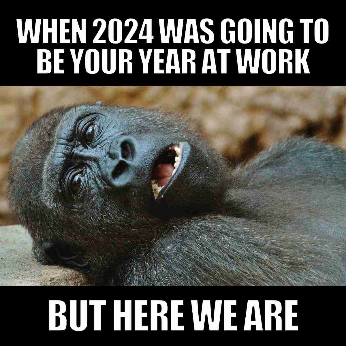 Best Office Humor Memes To Make Your Workday Hilarious!