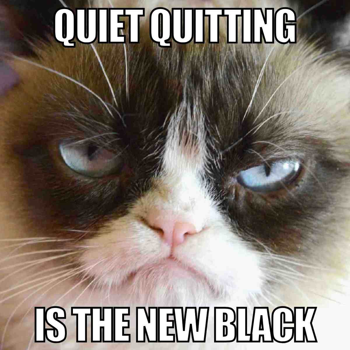 Best Office Humor Memes To Make Your Workday Hilarious!