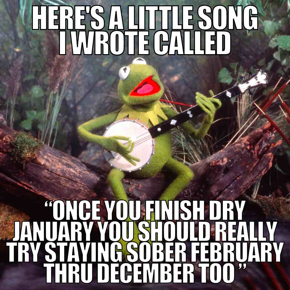 12 Best Dry January Memes To Keep You Smiling And Sober