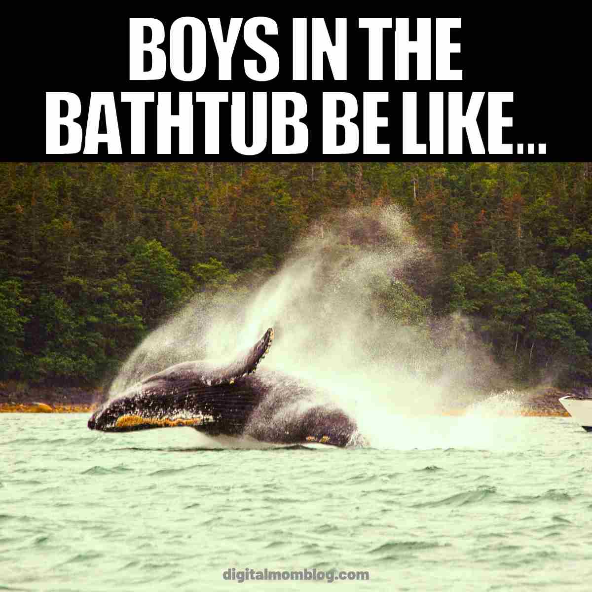 Boy Mom Life: 20 Funny Son Memes To Brighten Your Day