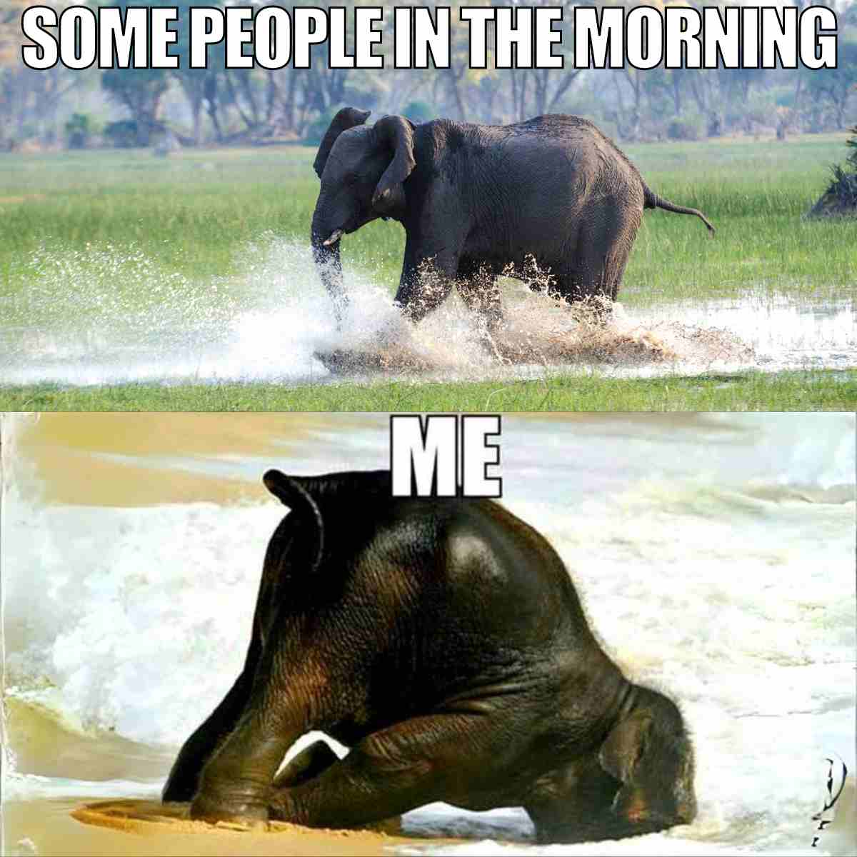 90 Best Funny Good Morning Memes To Kick Off The Day