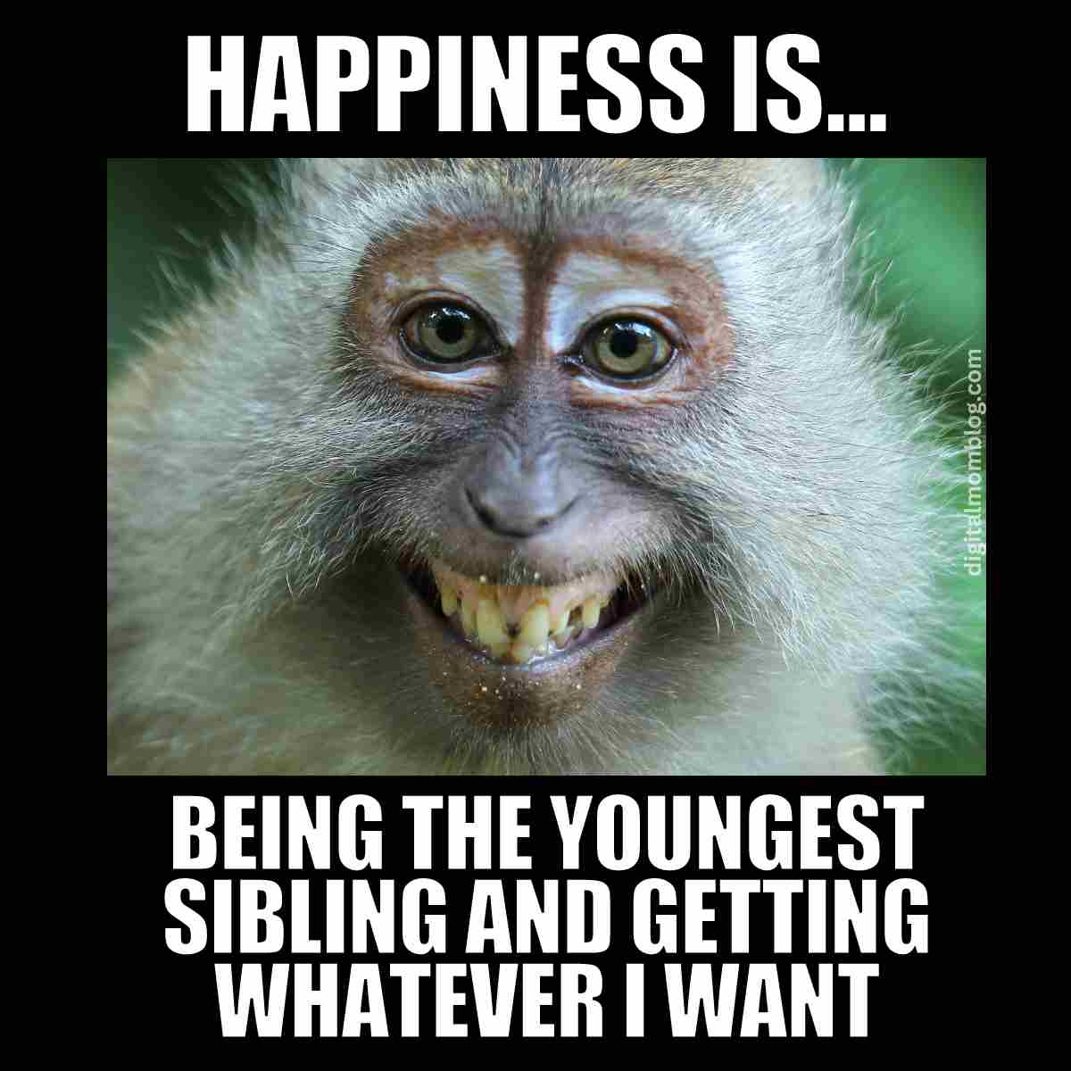 50 Hilarious Sibling Memes: From Fights To Fun!