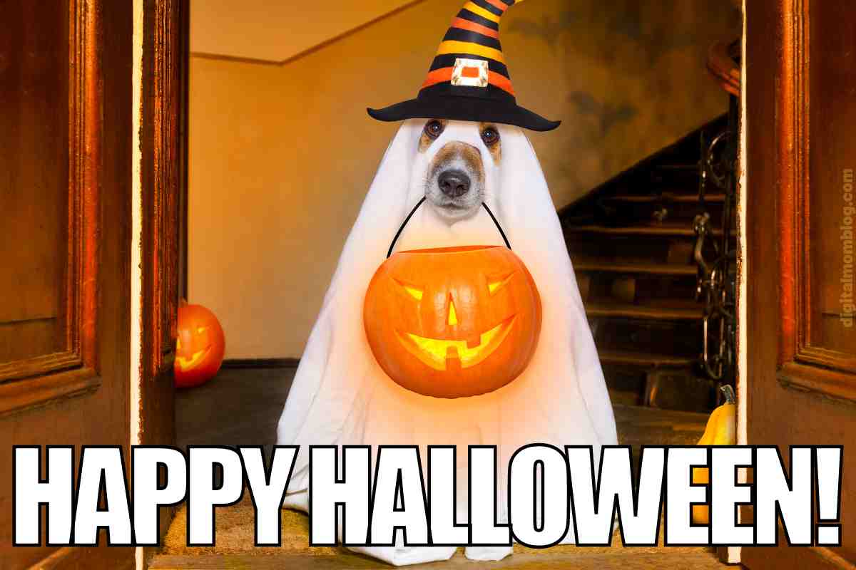 45 Hilarious Halloween Memes To Boost Your Spooky Spirit