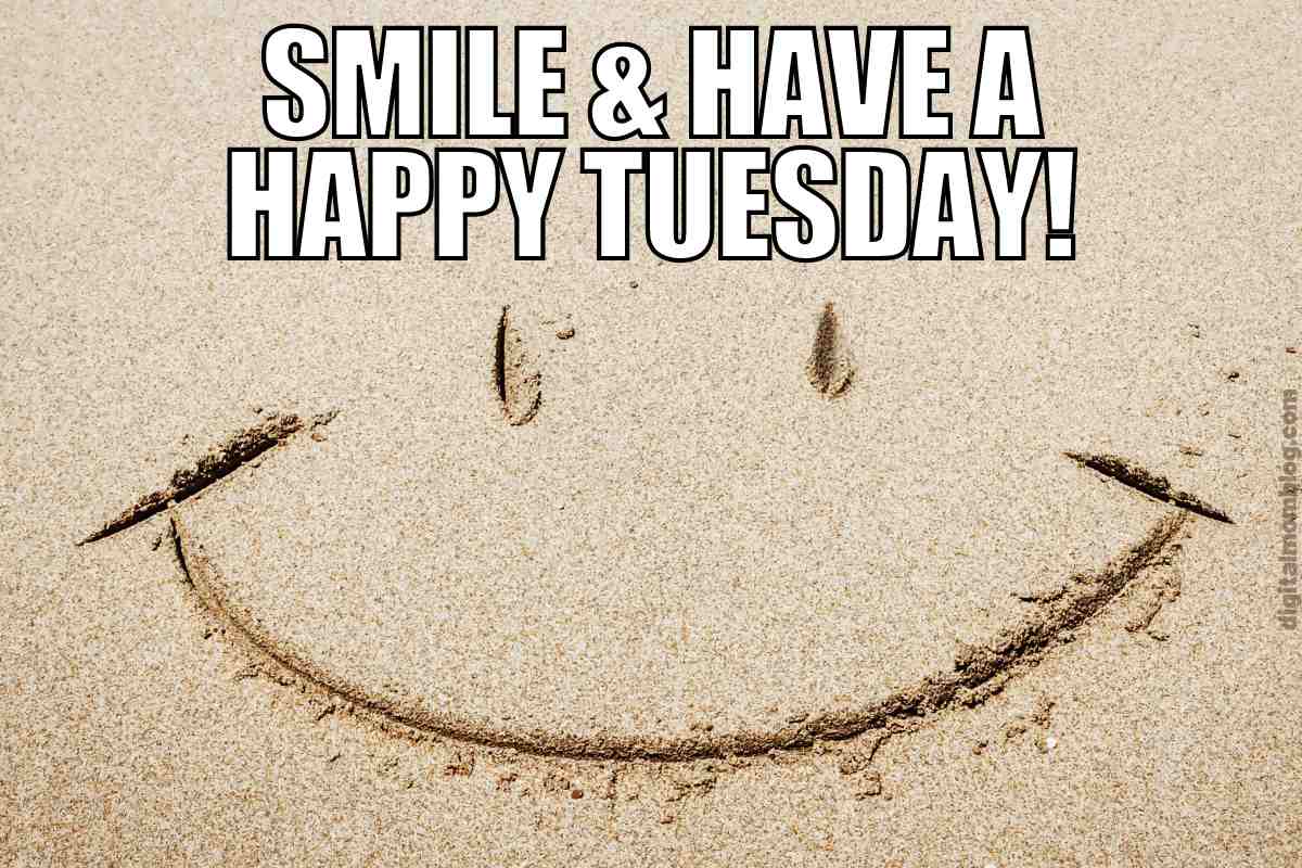 25 Best Tuesday Memes And Images To Brighten Your Week