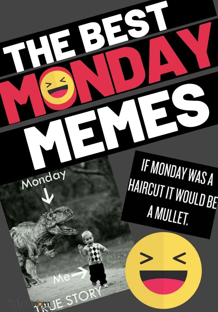 75 Hilarious Monday Memes To Make The Start Of Your Week Less Painful