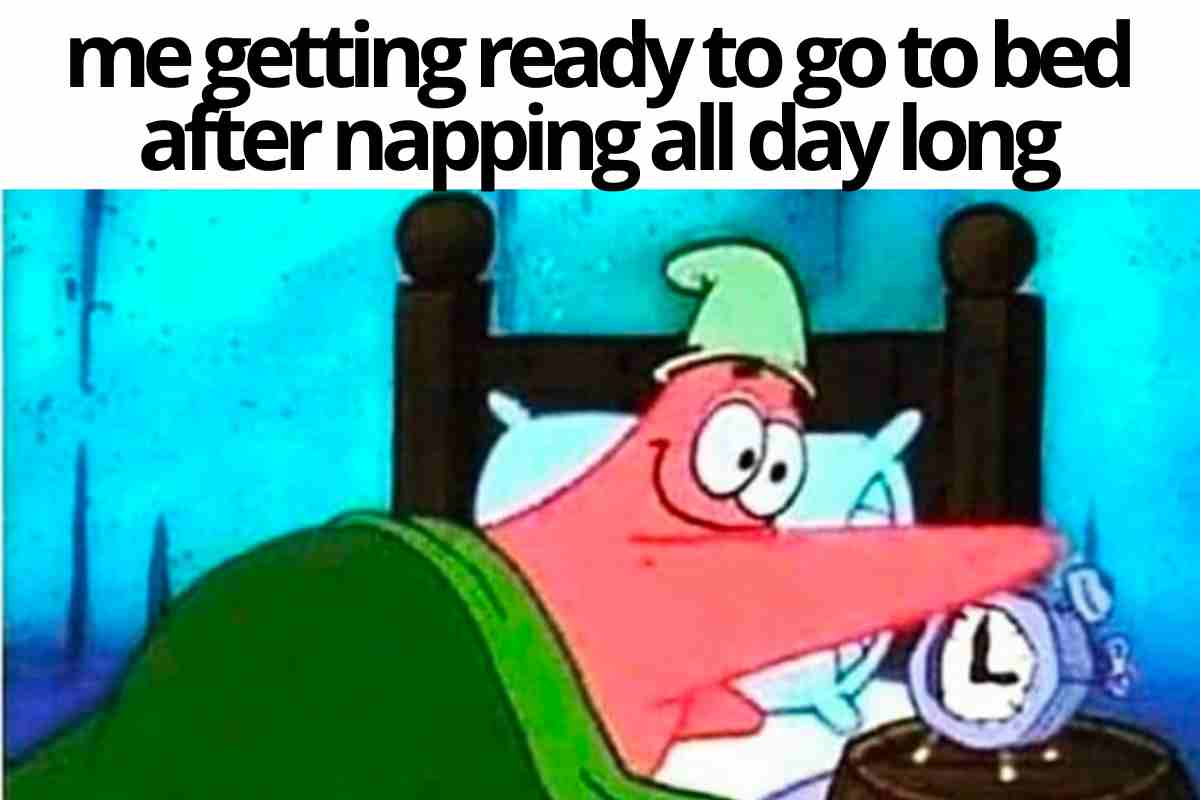 40 Best Nap Memes About Those Mid Day Sleeps