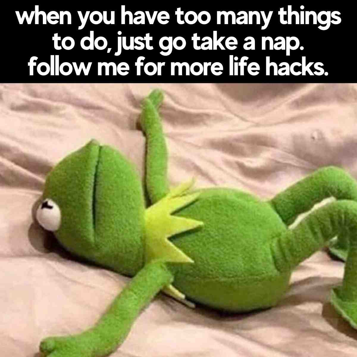 40 Best Nap Memes About Those Mid Day Sleeps