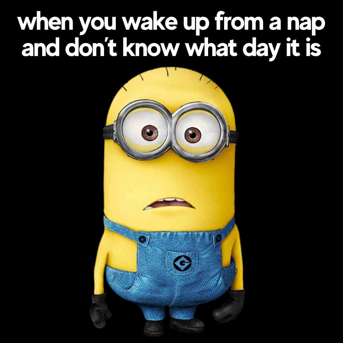 40 Best Nap Memes About Those Mid Day Sleeps