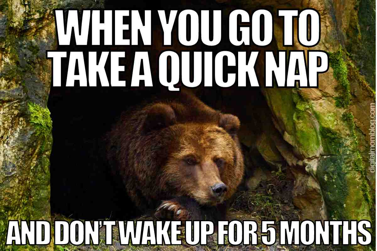 40 Best Nap Memes About Those Mid Day Sleeps