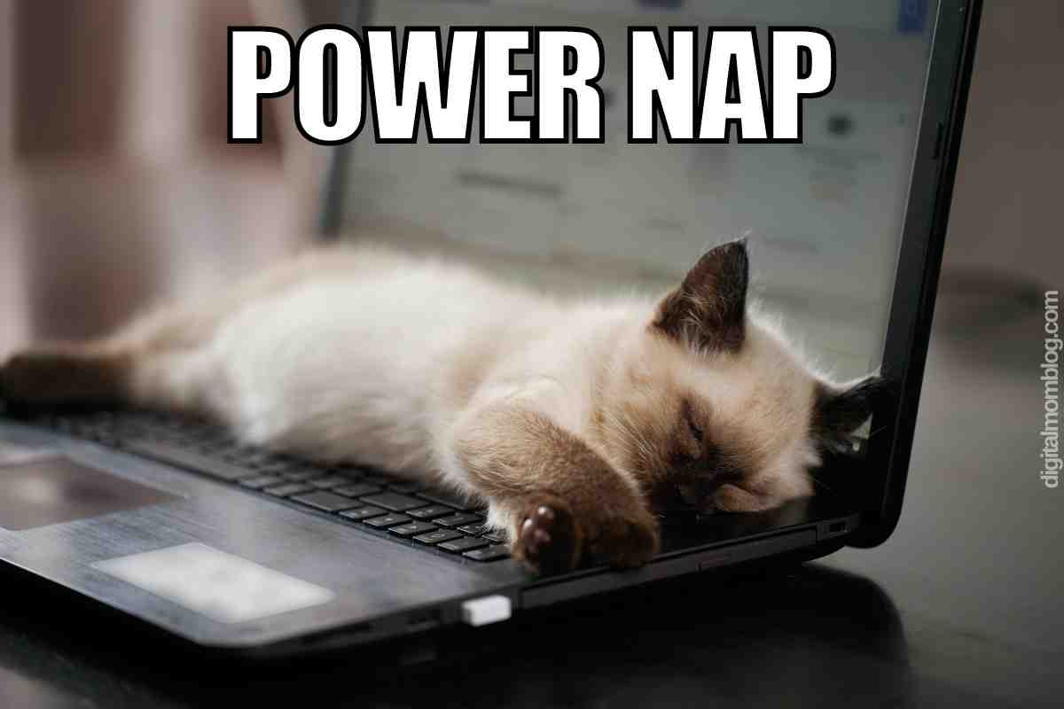 40 Best Nap Memes About Those Mid Day Sleeps
