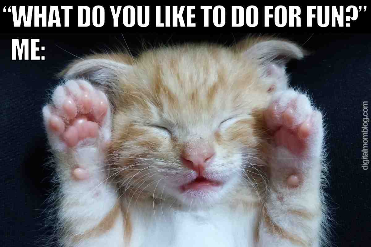 40 Best Nap Memes About Those Mid Day Sleeps