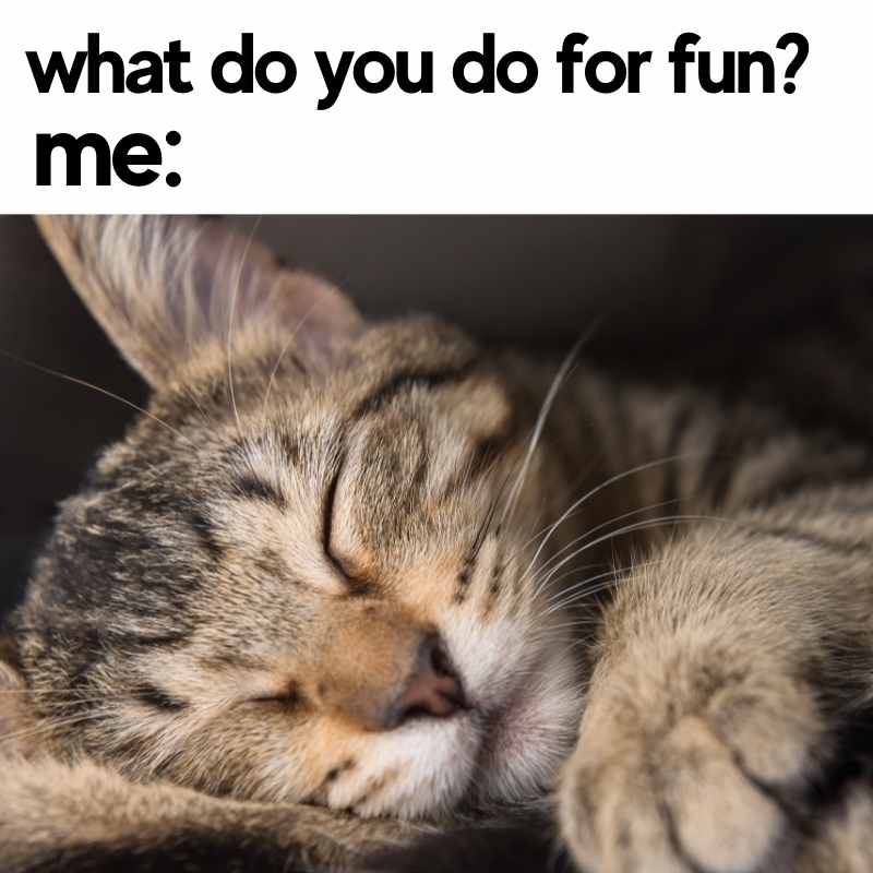 40 Best Nap Memes About Those Mid Day Sleeps