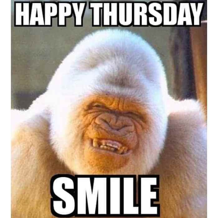40 Funny Thursday Memes To Help You Survive The Week