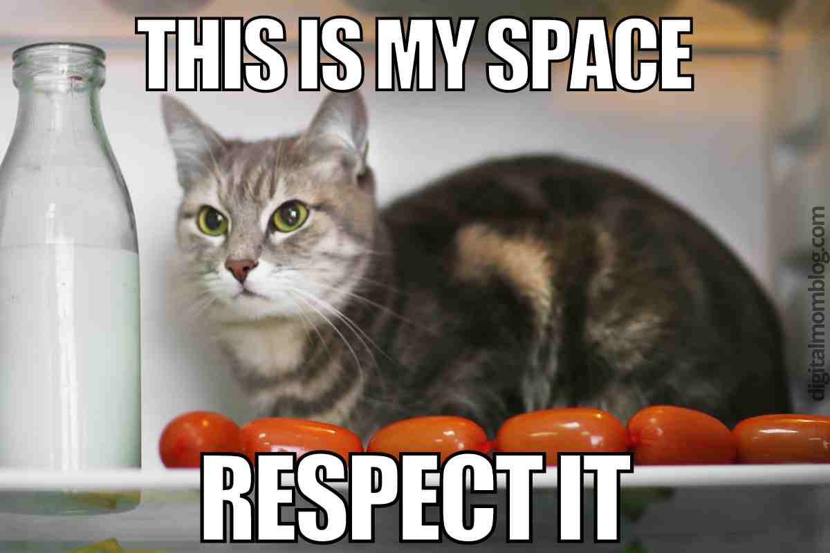 22 Awesome Boundaries Memes About Setting Limits