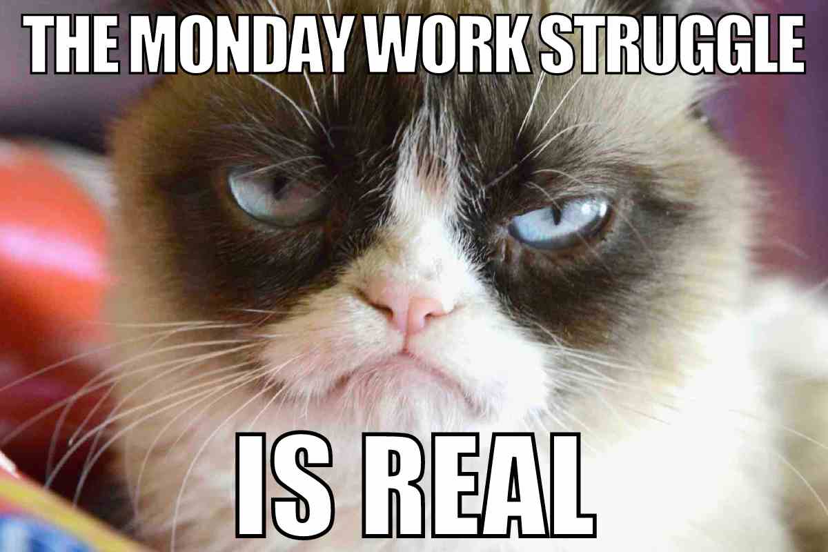 20 Relatable Monday Work Memes To Kickstart Your Week