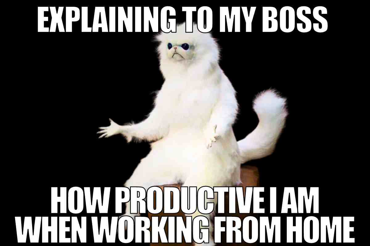 70 Funny Work From Home Memes Remote Workers Will Relate To