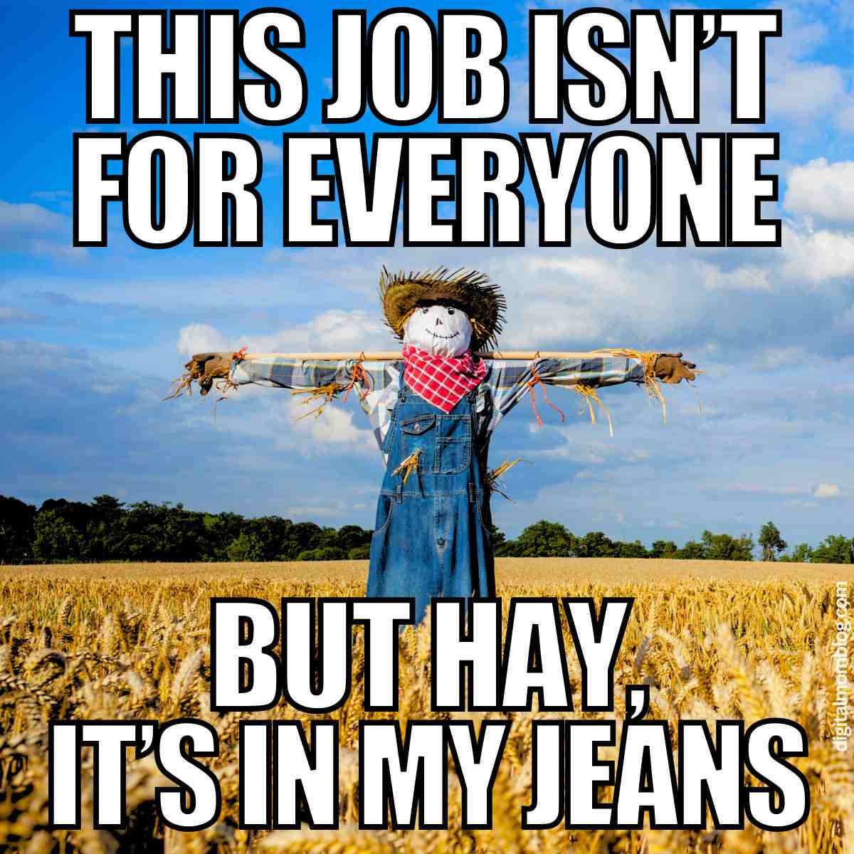 30 Hilarious Autumn Memes To Get You In The Fall Spirit