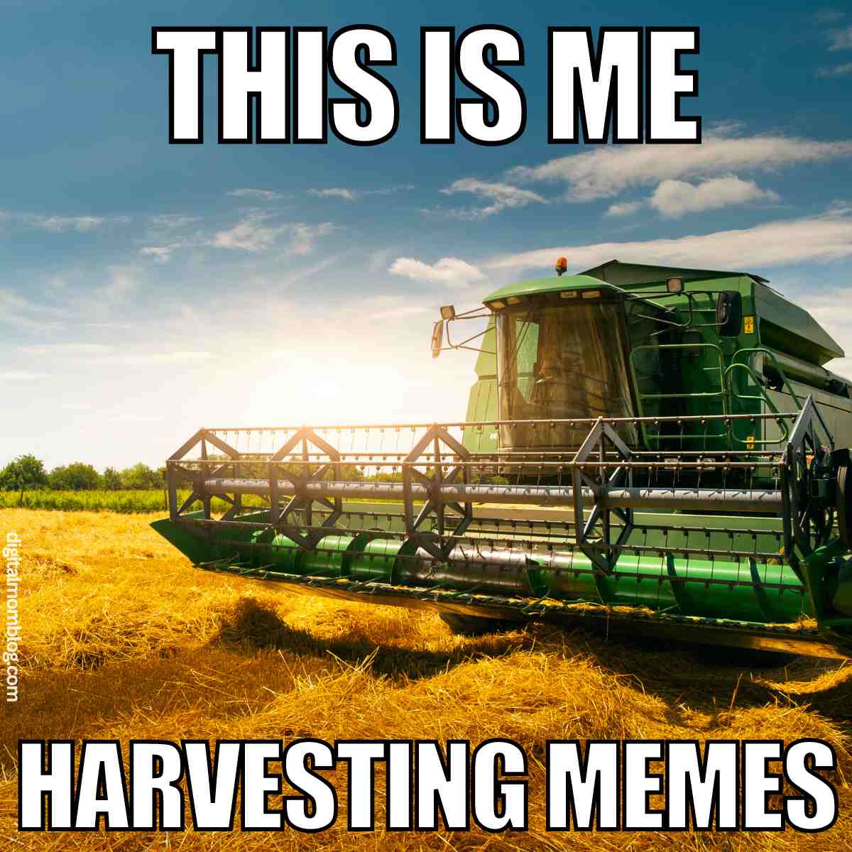 30 Hilarious Autumn Memes To Get You In The Fall Spirit